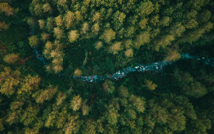 Screening STOXX indices through ESMA’s new fund naming guidelines ...