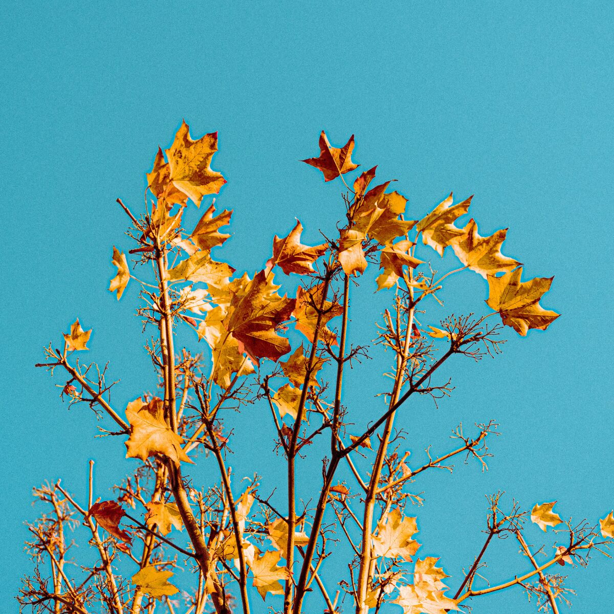 Changes in composition of the STOXX Europe 600 index (September 2, 2024) | Press releases | STOXX