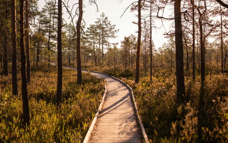 New ISS STOXX net zero indices adopt innovative, forward-looking approach to carbon transition ...