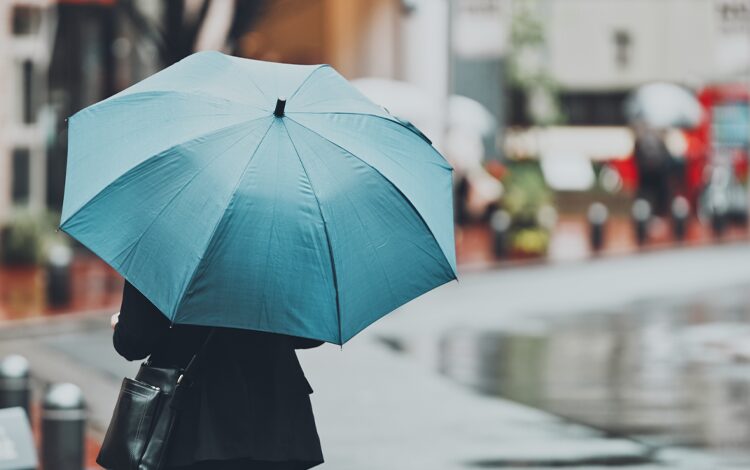 Buffer strategies for downside protection? A short- and long-term ...